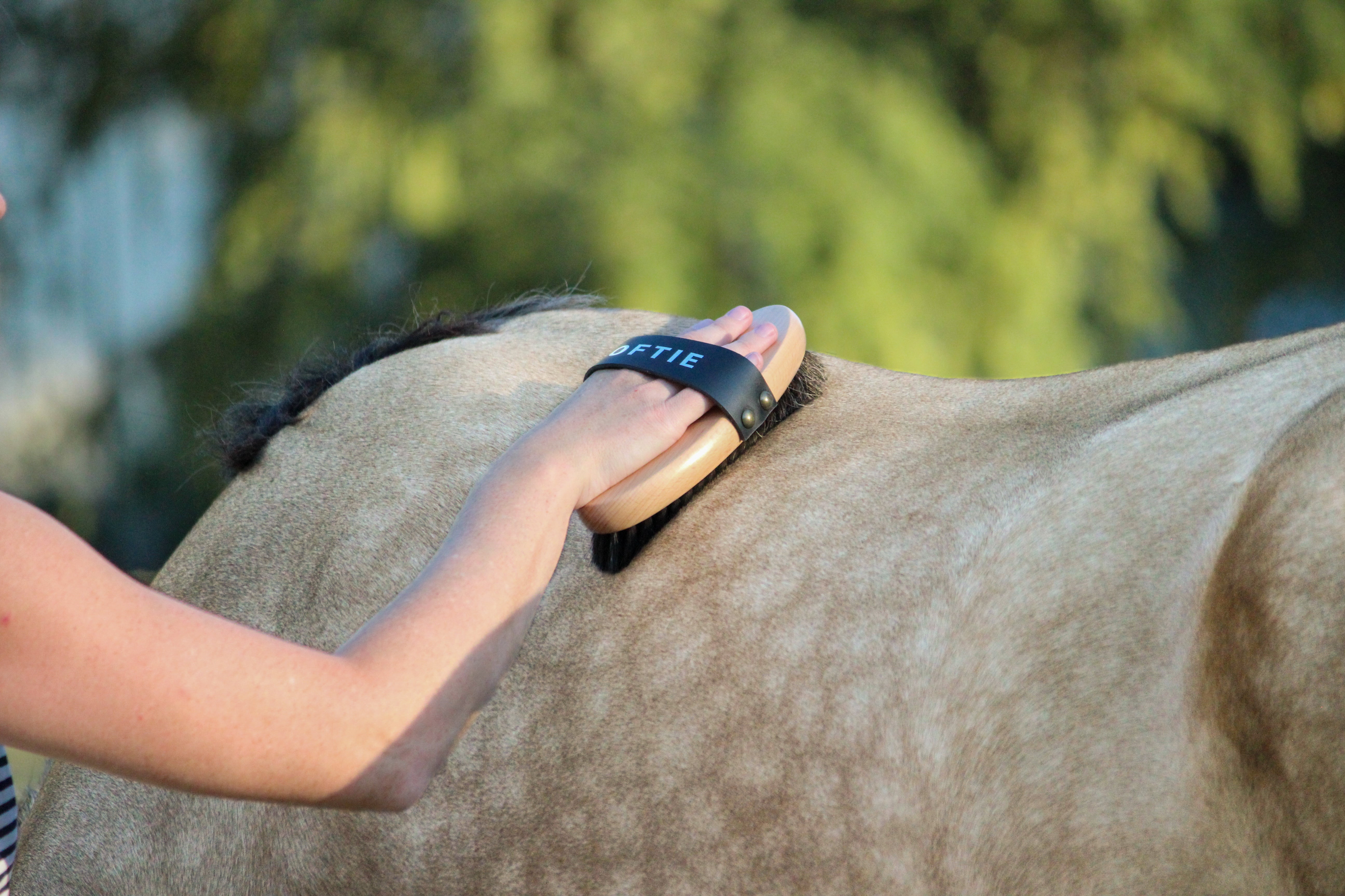 Hand crafted horse grooming brushes and kits for your equine partner ...
