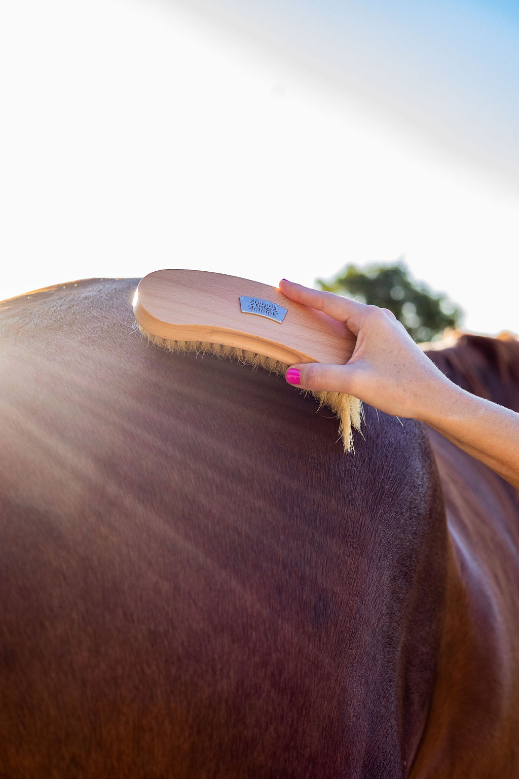 Ultimate Grooming Kit | By GeeGee COLLECTIVE – Ippico